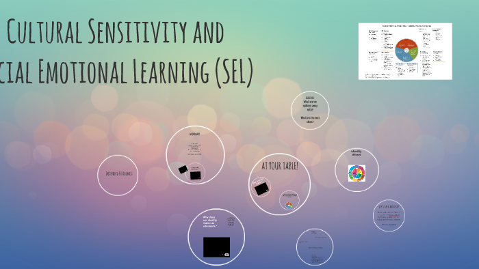 Cultural Sensitivity and Social Emotional Learning (SEL) by Tiffany ...