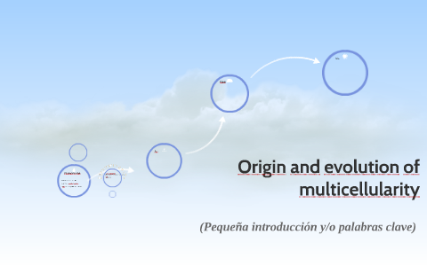 Origin and evolution of multicellularity by on Prezi