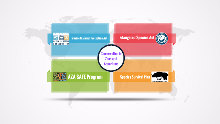 Conservation in Zoos and Aquariums by Erin Hamel on Prezi