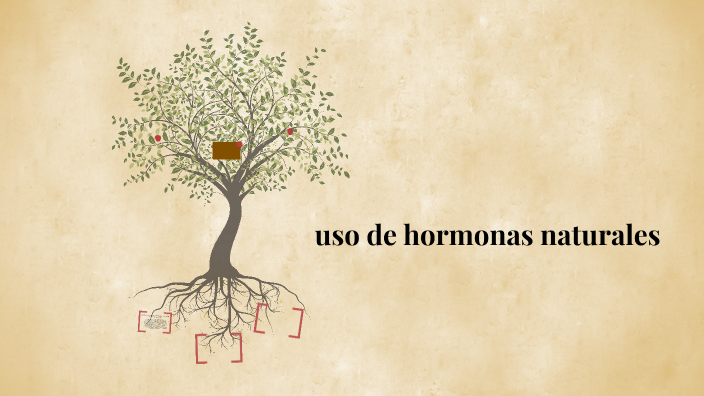 uso de hormonas naturales by Gino Vignolo on Prezi