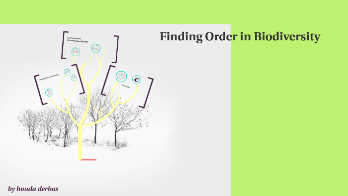 Finding Order in Biodiversity by Houda Derbas on Prezi