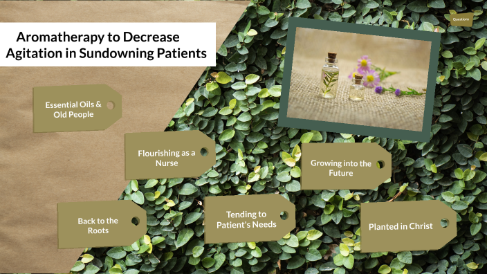 Implementing Aromatherapy in Acute Care Settings by Abigail Bishop on Prezi