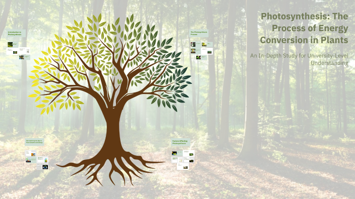 Photosynthesis: The Process of Energy Conversion in Plants by Dr. K ...