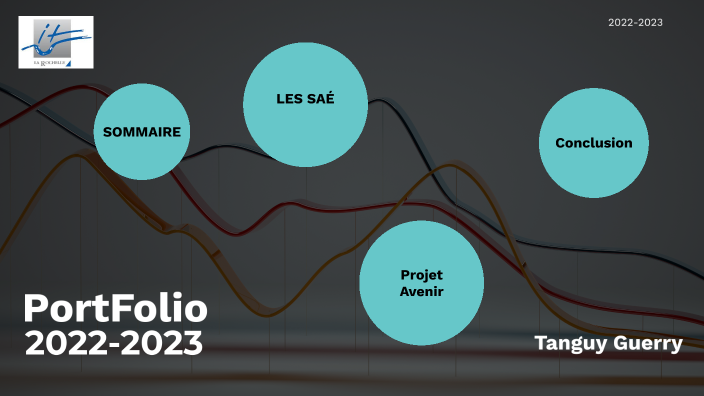 Portfolio by on Prezi