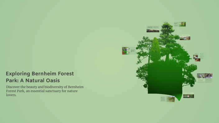 Exploring Bernheim Forest Park: A Natural Oasis by Parvin Zabihi on Prezi