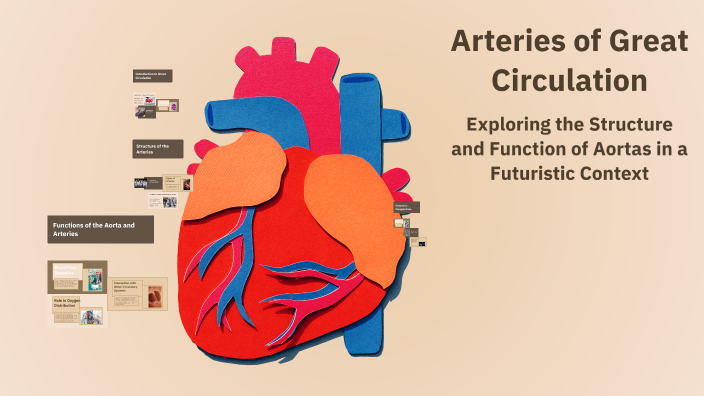 Arteries of Great Circulation by Бат-Эрдэнэ Наранбаатар on Prezi