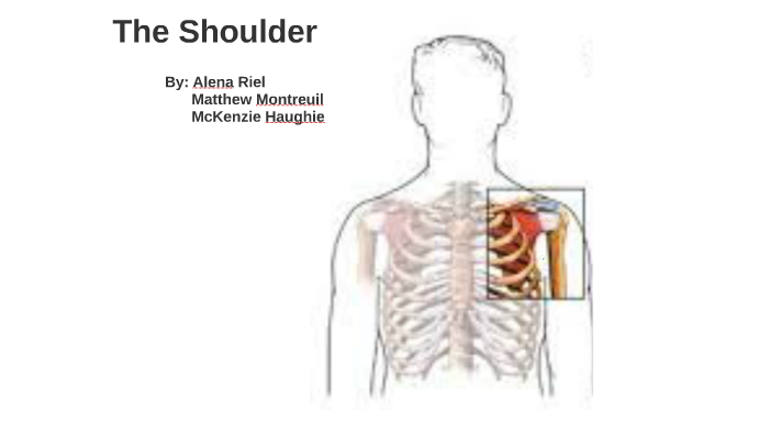 The Shoulder by on Prezi