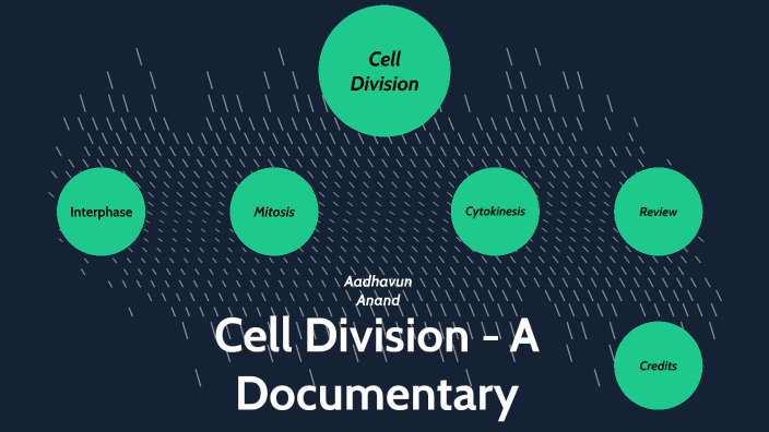 Cell Division - A Documentary by Aadhavun Anand on Prezi