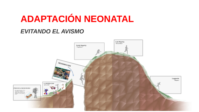 ADAPTACIÓN NEONATAL by alcides florez