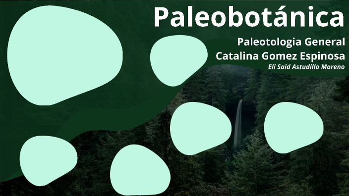 Botanica by Eli Said Astudillo Moreno on Prezi