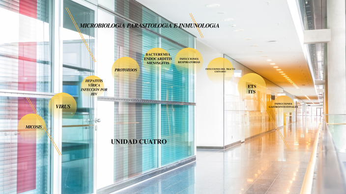 MICRO UNIDAD 4 by miriam castro on Prezi