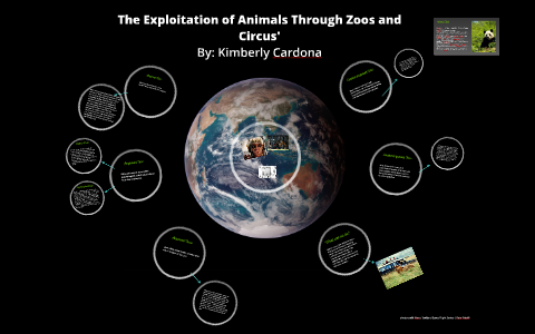 The Negative Effect Zoos and Circus' Have on Animals Well be by ...