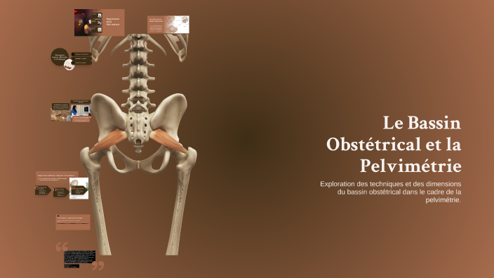 Le Bassin Obstétrical et la Pelvimétrie by labdi amina on Prezi