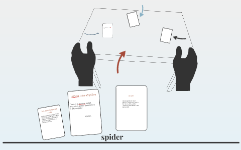 how spider digestion works by carlos martinez on Prezi
