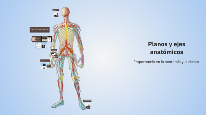 Planos y ejes anatómicos by Andrea Luria on Prezi
