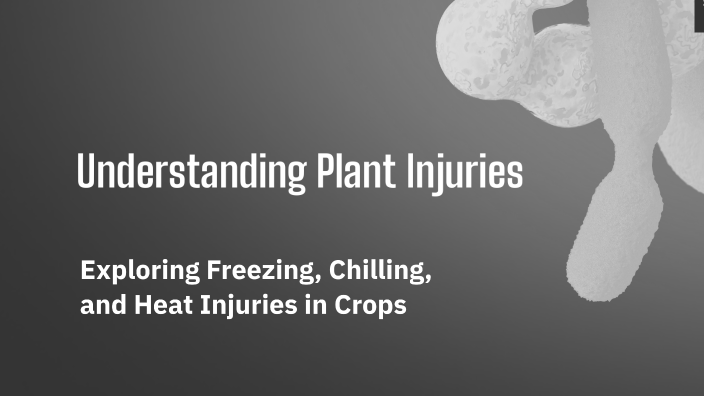 Understanding Plant Injuries by Sandesh Varma on Prezi