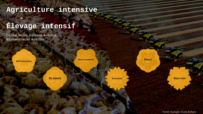 Agriculture et élevage intensifs by Seyti on Prezi