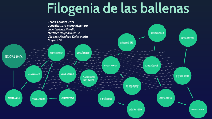 FILOGENIA BALLENAS by Denise Martz on Prezi