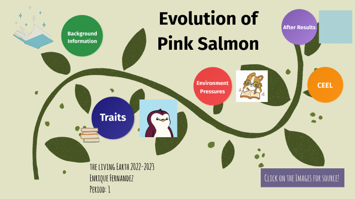 Natural Selection Project by Enrique Fernandez on Prezi