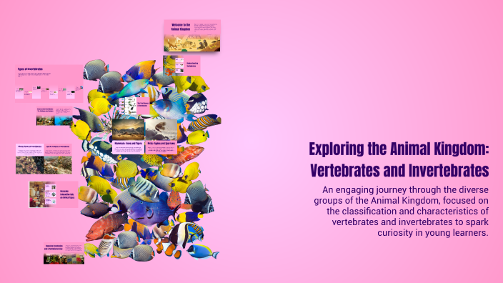 Exploring the Animal Kingdom: Vertebrates and Invertebrates by ...