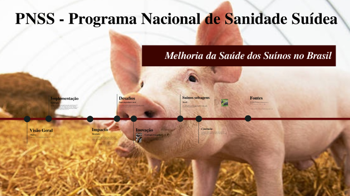 PNSS - Programa Nacional de Sanidade Suídea by Gui louvain on Prezi