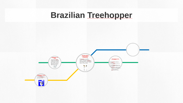 Brazilian Treehopper by Garrett Gerhart on Prezi