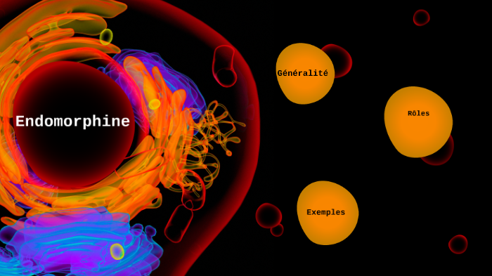Endomorphine by lucas vieux on Prezi
