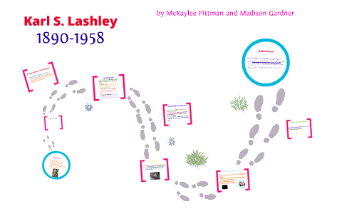 Karl Lashley by McKaylee Pittman on Prezi