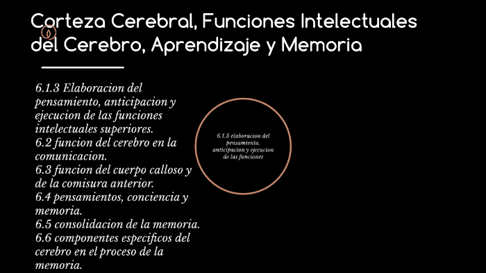 Corteza Cerebral Funciones Intelectuales Del Celebro Aprendizaje Y