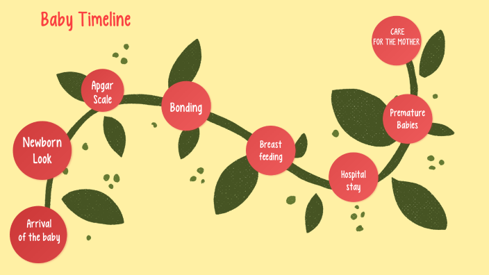 Baby's Arrival Timeline by Rilee Roberts on Prezi