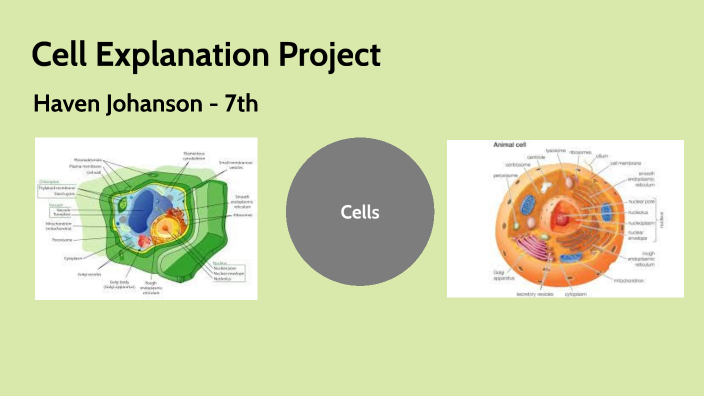 Cell Project by Haven Johanson on Prezi