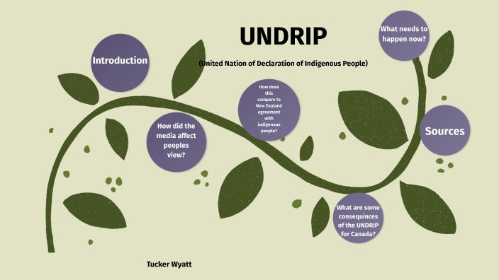 UNDRIP by tucker wyatt on Prezi