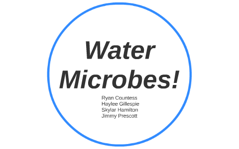 Microbes in the Water! by Jimmy Prescott on Prezi