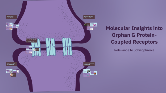 Molecular Insights into Orphan G Protein-Coupled Receptors by Fardad ...
