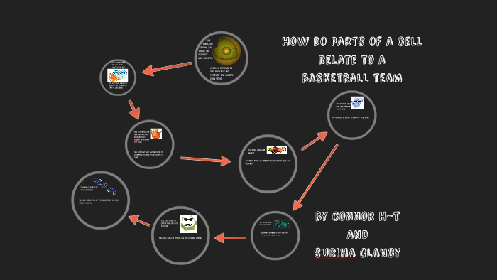 How do parts of a cell relate to a basketball team by Connor Houghton ...