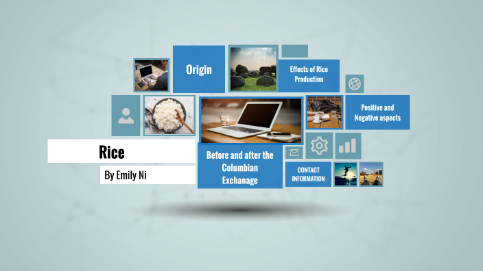 Rice During the Columbian Exchange by Emily Ni on Prezi