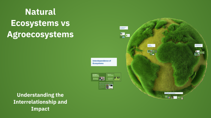 Natural Ecosystems vs Agroecosystems by Cornel Mihai on Prezi