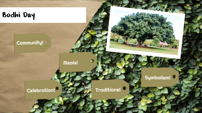 Bodhi Day by Ivie Nguyen on Prezi