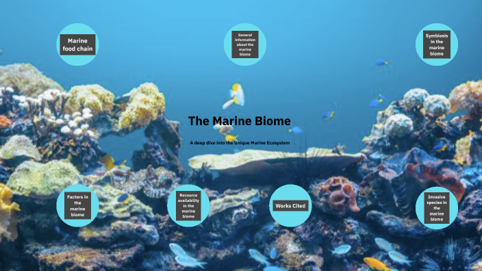 Marine Biome by Eli Glaesman on Prezi
