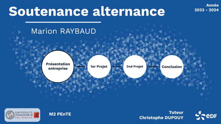 Soutenance by Marion RAYBAUD on Prezi