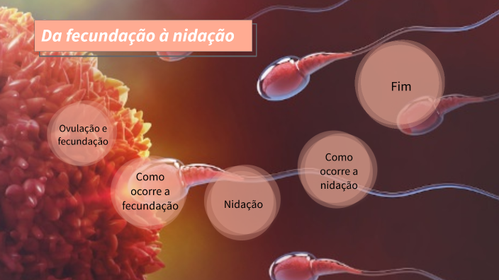 Da fecundação à nidação by Joana C on Prezi
