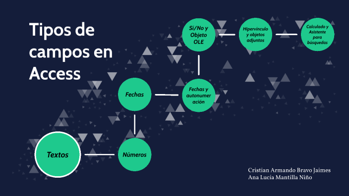 Tipos de campos en Access by Cristian Armando Bravo Jaimes on Prezi