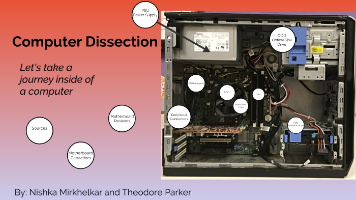 Computer Dissection by Theodore Parker on Prezi