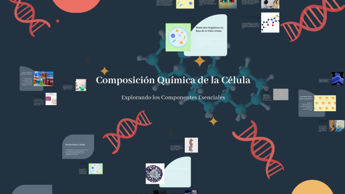 Composición Química de la Célula by loida alexandra leon genovez on Prezi
