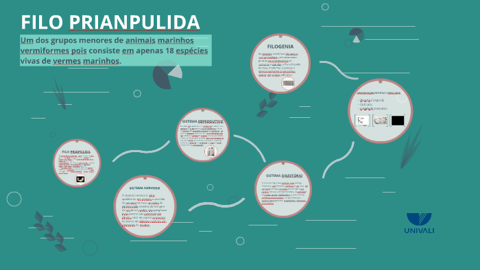 FILO PRIAPULIDA by Laiza Bueno on Prezi