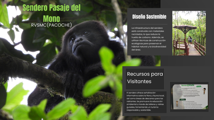 Sendero Pasaje del Mono Pacoche by Kimberli Rivera on Prezi