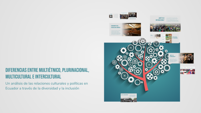 Diferencias entre Multiétnico, Plurinacional, Multicultural e ...