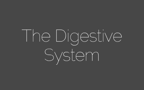 Digestive System by Kayla Sisk on Prezi