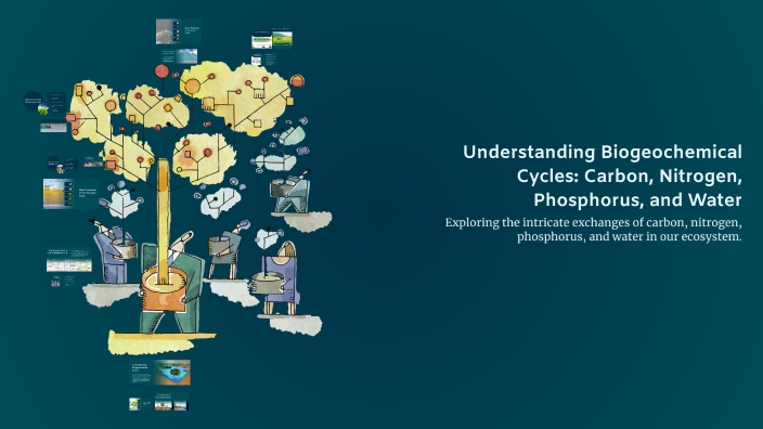 Understanding Biogeochemical Cycles: Carbon, Nitrogen, Phosphorus, and ...