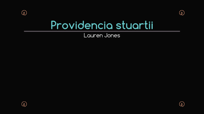 Providencia stuartii by Lauren Jones on Prezi